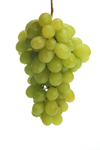 Top 10 Supplements For Health 2020 - Treat for life