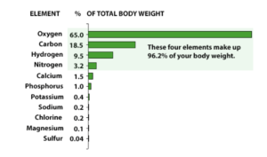 How Many Elements Make Up the Human Body?